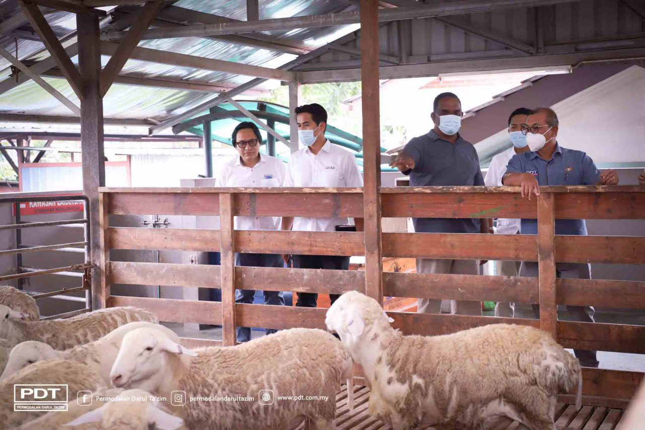 PDT KUNJUNGI OSMAN GOAT FARM BAGI MELIHAT SISTEM PENTERNAKAN KAMBING ...